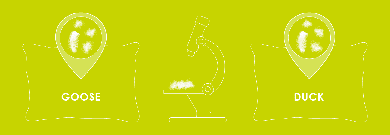 Is Goose Down Better Than Duck?