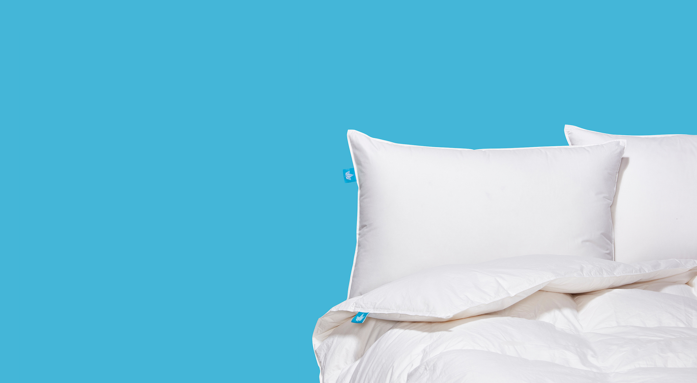 Leading Manufacturer of Down and Feather Products