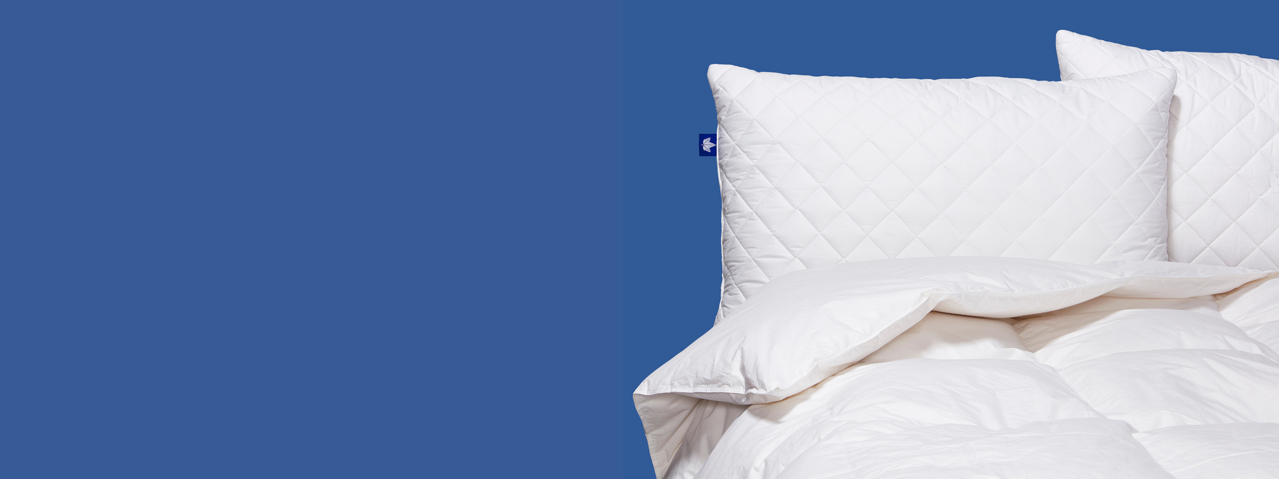 Leading Manufacturer of Down and Feather Products